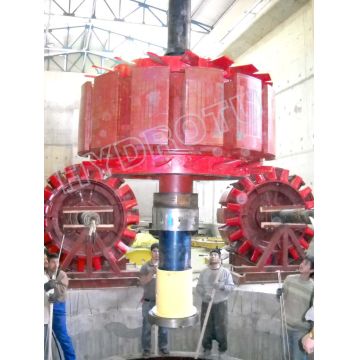 Quality Vertical Kaplan Water Turbine / Kaplan Hydro Turbine with Generator and Speed for sale