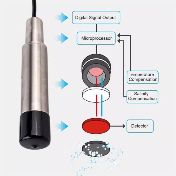 Quality IP68 DO Measurement Sensor Meter Probe for Accurate Water Dissolved Oxygen Measurement for sale