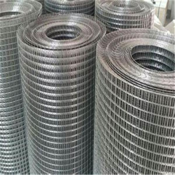 Quality Customizable Corrosion Resistant Galvanized Welded Wire Mesh in 2mx30m Roll Size for Enclosure Farming for sale