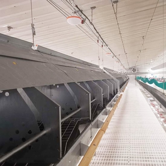Quality Broiler Automatic Feeder Chicken Breeding Equipment for sale