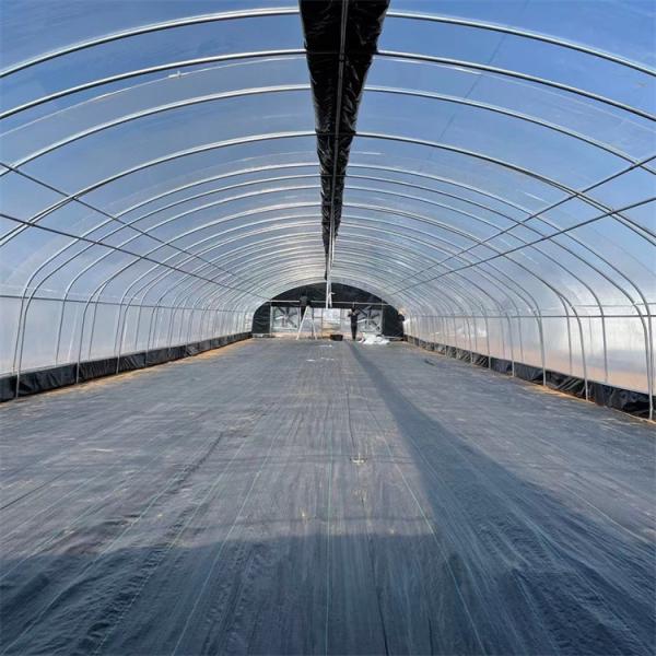 Quality Single Plastic PE Film Tunnel Herb Greenhouse Blackout Curtain Systems for sale