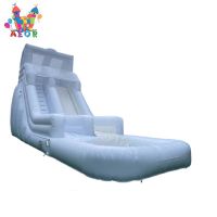 Quality Custom Commercial Grade PVC Party Rental Toddler Castle Water Slide With Ball for sale