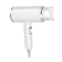 Quality Hair Dryer Temperature Adjustable 2300W Powerful Blower With Blue Light for sale