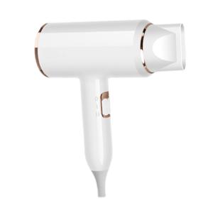 Quality High Concentration Negative Ions Hair Dryer for Static Electricity Neutralizatio for sale