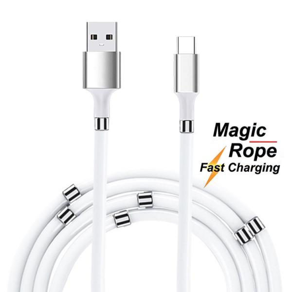 Quality Fast Charging 2.4A USB 2.0 Type C Cable 3ft USB C Magnetic Data Cable for sale