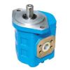 Quality CBGJ1 Cast Iron Pump Industrial Gear Pump High Durability Reliable for sale