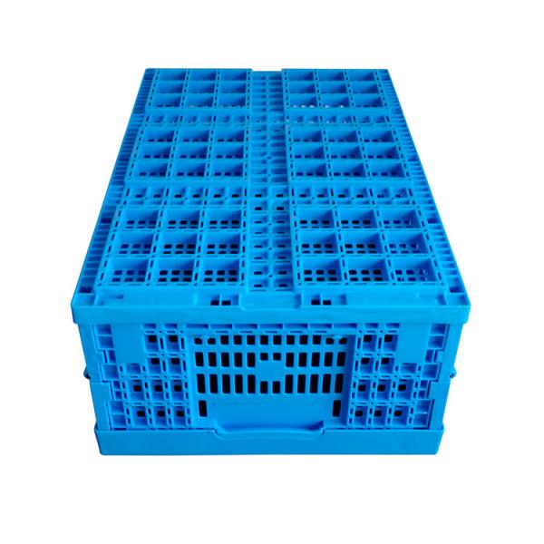 Quality Fresh Food Loading Plastic Collapsible Crates 600*400*240 mm Mesh Structure for sale