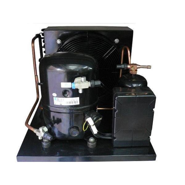 Quality FH4524Z 2HP High Temp FranceTecumseh Air Cooled Refrigeration Unit 220V 50Hz for sale