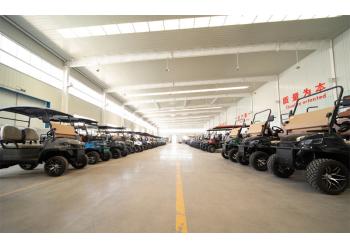 China Factory - Ace Electric Vehicle Co.,Ltd