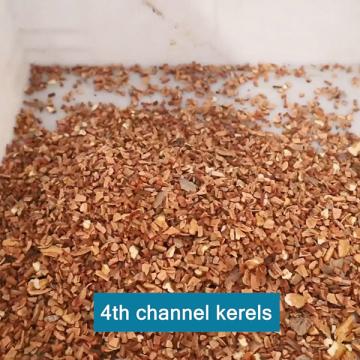 Quality 220V 100000 Pieces CE Approved Pecan Shelling Machine Up To 2T Output Each Hour for sale