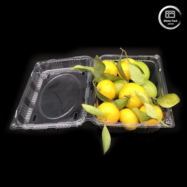 Quality Corrugated Plastic Fruit And Vegetable Trays Containers Storage Sturdy Reusable for sale