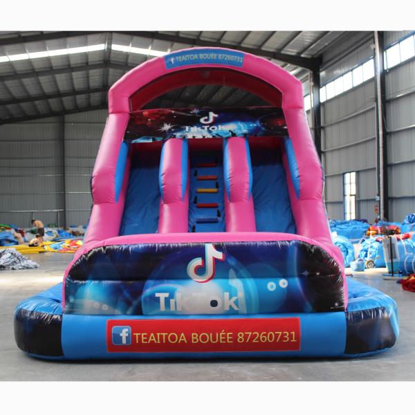 Quality Max Capacity 100-500kg Customized Color Inflatable Mario Water Slide Coming in for sale