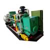 china 300KVA 250KW 60Hz Biogas CHP , Remote Monitoring CHP Cogeneration Systems