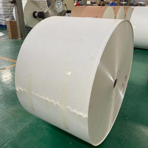 Quality Stiffness 1.4 Cupstock Paper Tea Cup Raw Material Glossy Varnishing for sale