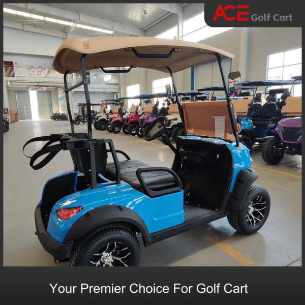 Quality 5kw AC Motor Electric Golf Transporter 2 Seater Cart With 48V Battery for sale