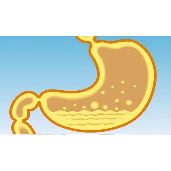 Quality Animal Bacterial Control Poultry Feed Acidifier Effective Antibiotic Alternative for sale