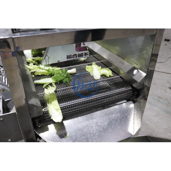Quality High Pressure Spray Vegetable Washing Machine For Lifting Spray Cleaner carrot for sale