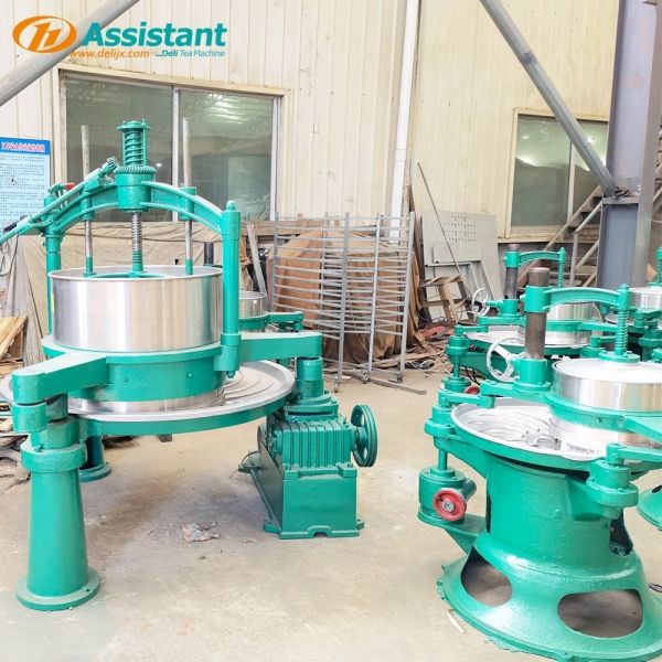 Quality DL-6CRT-75 Tea Processing Rolling Machine with 1310 mm Tea Rolling Disc Diameter for sale