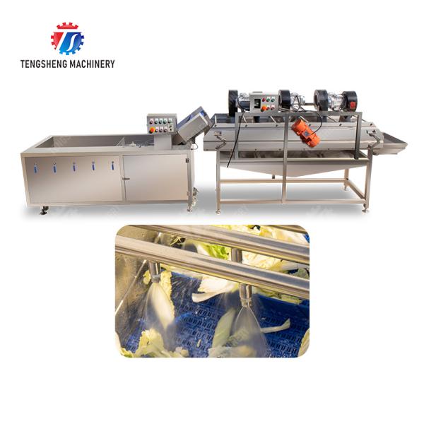 Quality Bubble washing vibration air drying production line Orange Vegetable Herbs Fruit for sale