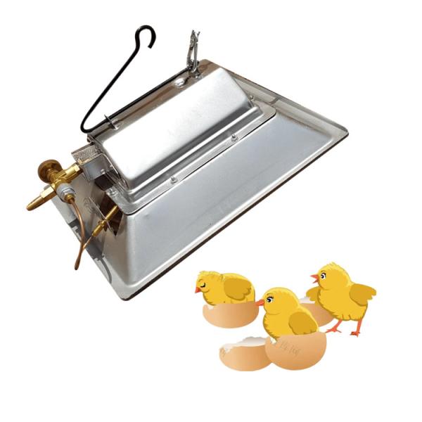 Quality Low Consumption Poultry Brooder Heater Energy Saving Chicken Gas Brooder for sale