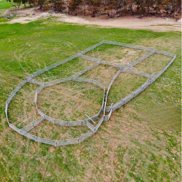 Quality 30X60mm Oval Rail Tube Durable Sheep And Goat Panels Metal Farm Fencing for sale
