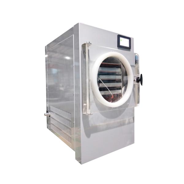 Quality Vegetable Fruit Food Freeze Drying Machine With Pump 0.4m2 3-4kg/Batch for sale