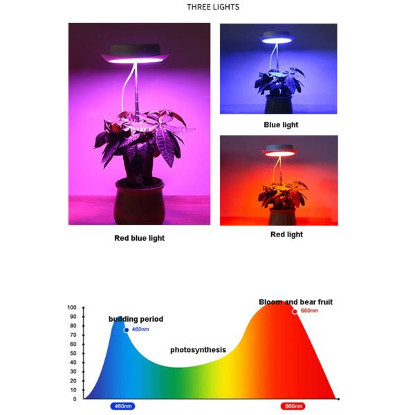 Quality 5V Dimmable 3 Hours LED Growth Lamp CE Red Led Grow Light for sale
