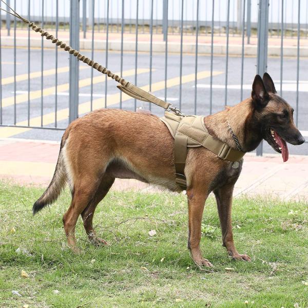 Quality Black Personalized Tactical Dog Harness 90cm 1000D Nylon for sale