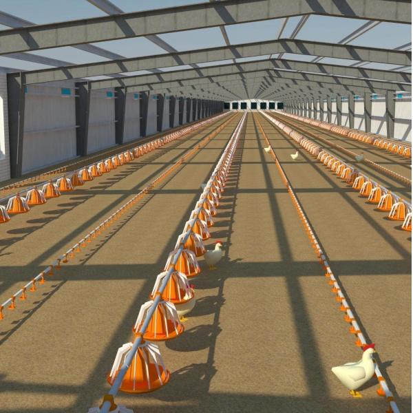 Quality Hotel Design Style Precision-Engineered Steel Structure Chicken Coop for Optimal for sale