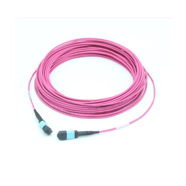 Quality 12F MTP Fiber Optic Patch Cord 50/125 OM4 Male - Male Type B Elite Loss Durable return loss ≥35dB for sale