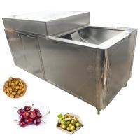 Quality 220v/380v/Customized Date Palm Seeds Removing Machine for Farm Jujube Palm for sale