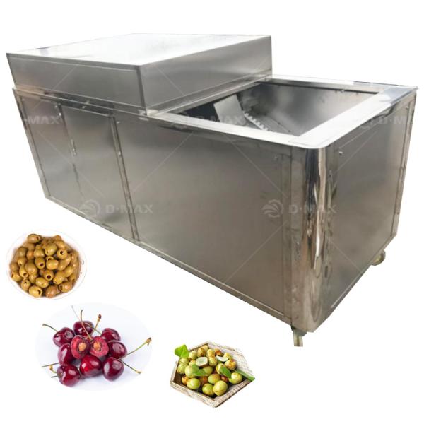 Quality 220v/380v/Customized Date Palm Seeds Removing Machine for Farm Jujube Palm Harvesting for sale