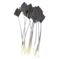 Quality Raw Pattern Millinery Feather Arrow Head Guinea Fowl Feather Quill Fast Shipping for sale