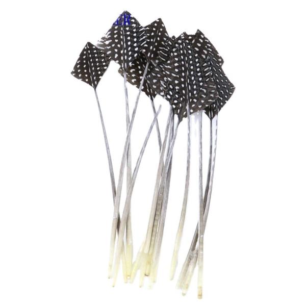 Quality Raw Pattern Millinery Feather Arrow Head Guinea Fowl Feather Quill Fast Shipping for sale