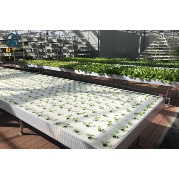 Quality ABS Ebb And Flow Rolling Benches Customized Greenhouse Seedling Trays Adjustable for sale
