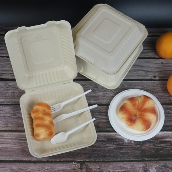 Quality 800ml Takeaway Containers Microwave Safe Bagasse Clamshell Birthday Party Disposable Plates for sale