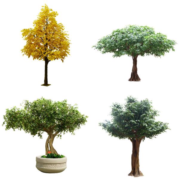 Quality H400cm Landscape Artificial Trees , Artificial Pittosporum For Amusement Park for sale