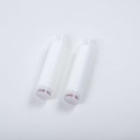 Quality 0.22μM 10" PTFE Membrane Filter Cartridge For Microelectronics Air Sterilization for sale