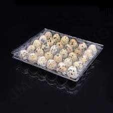 Quality PET Plastic Sheet Roll Reusable Quail Egg Tray Plastic Transparent for sale