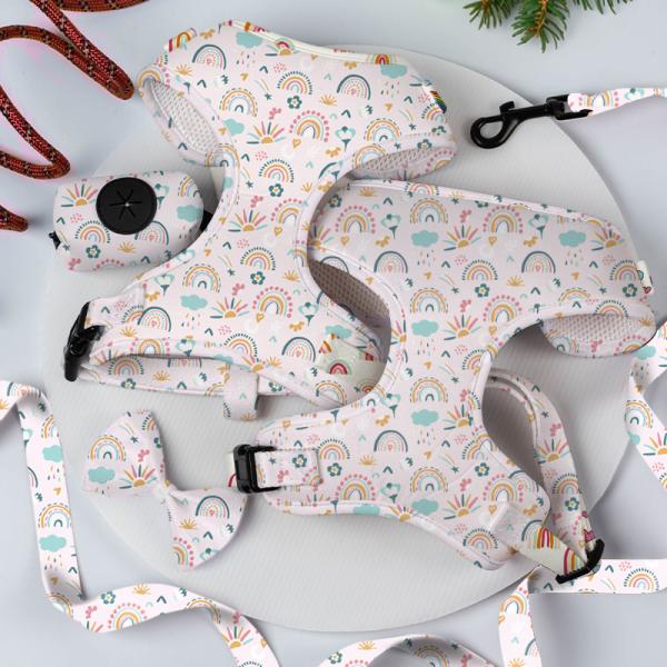Quality Polyester Dog Leash Harness Set Personalized Dog Collar And Lead Set for sale