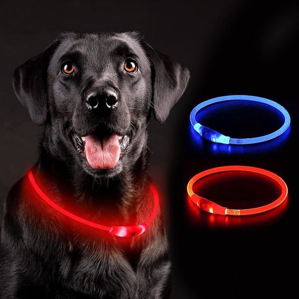 Quality LED Glow Dog Collar with Customized Logo USB Rechargeable Waterproof 3 Flashing Modes for sale