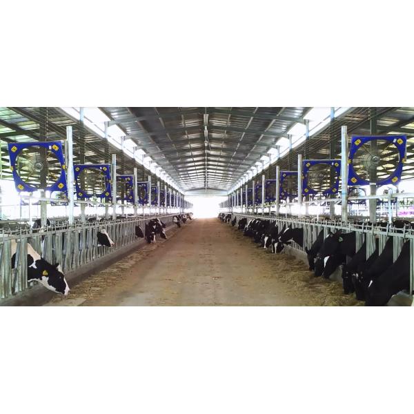 Quality 1140*1140*300mm Livestock Ventilation Fans For Circulation for sale