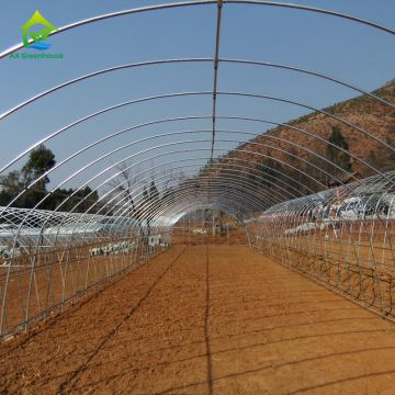 Quality 10-100m Length Broccoli Polytunnel Foil Greenhouse With Metal Frame for sale