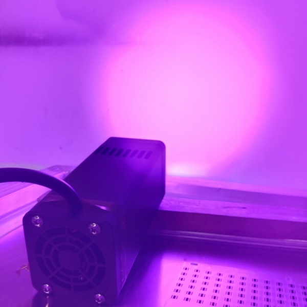 Quality Portable handheld 50W UV Led Curing ultraviolet light 365nm uv flashlight for Car Paint for sale