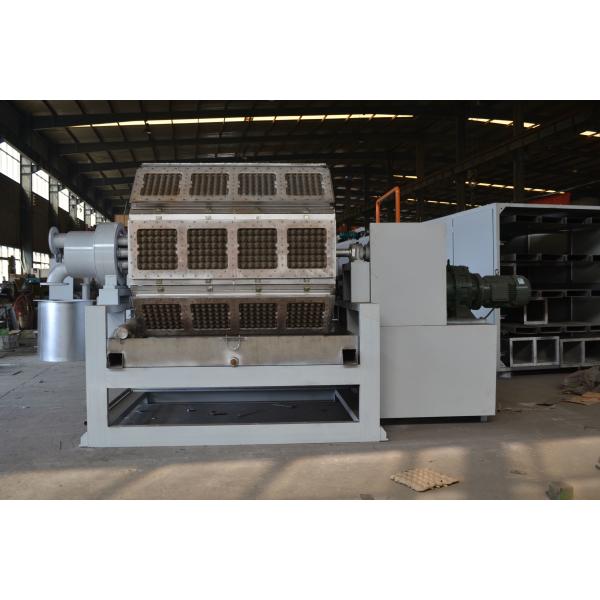 Quality 6000 Pieces Automatic Pulp Tray Forming Machine Egg Tray Maker for sale