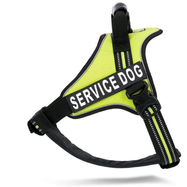 Quality Durable Outdoor Adventure Easy Walk Pet Harness With Removable Chest Padding for sale