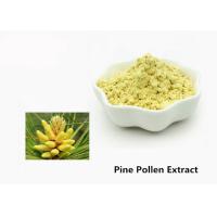Quality Health Care 1kg Natural Pine Pollen Extract Powder for sale