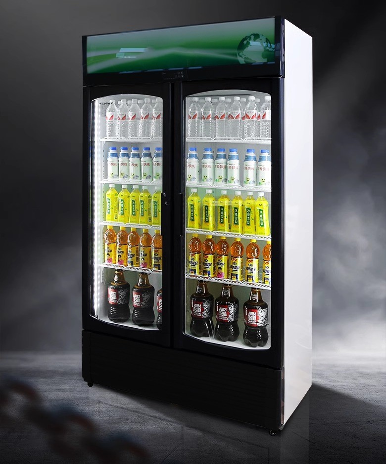 Quality 220V-240V/50HZ 60HZ 110V/60HZ Display Cooler 2 Doors Store Drinks Fridge for sale