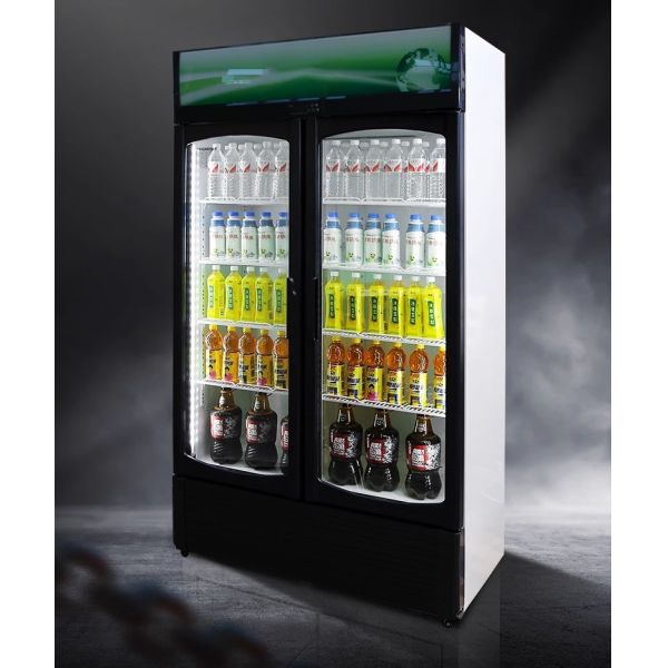 Quality 220V-240V/50HZ 60HZ 110V/60HZ Display Cooler 2 Doors Store Drinks Fridge Refrigerator for sale