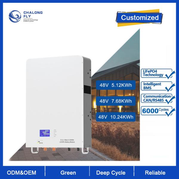 Quality LiFePO4 Lithium Battery 48V 100AH 200AH 300AH 400AH Home Backup Battery Pack for sale